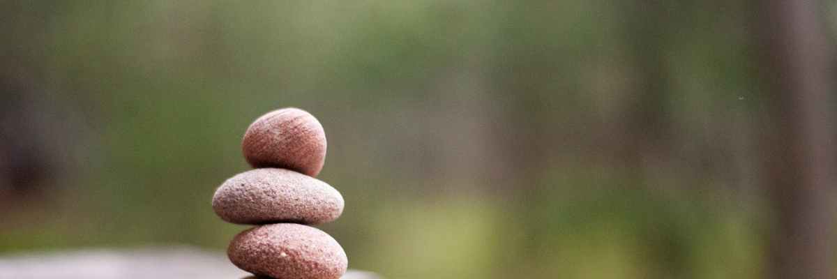 Eternal principles of life – Scientect